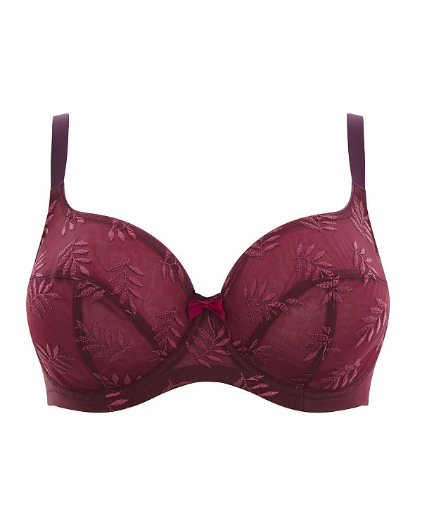 Tango Balconnet Bra Morello @ TKD Lingerie