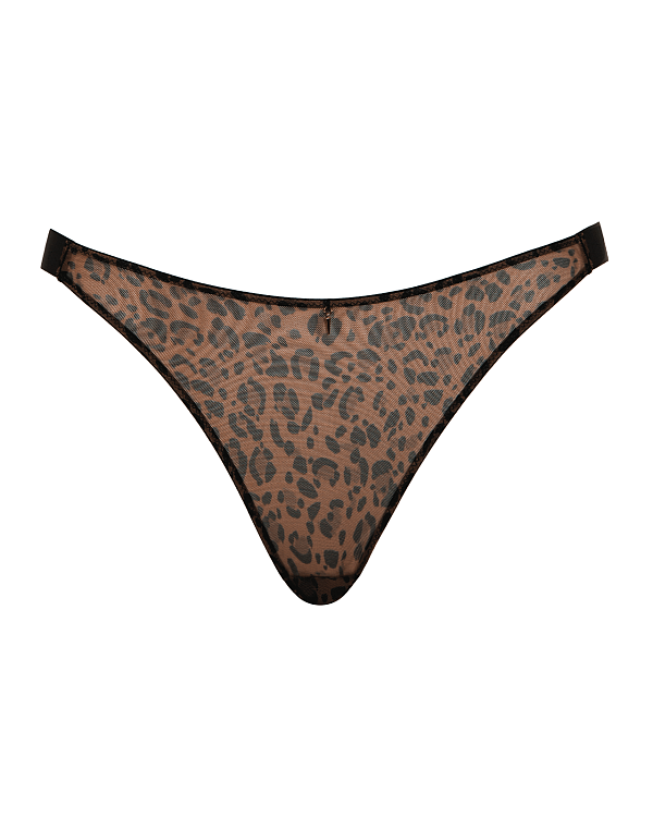 Cool Cat Tanga Brief Leopard Brown @ TKD Lingerie