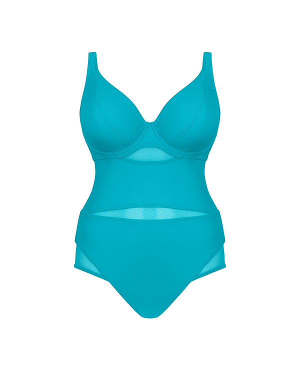 Sheer Class Plunge Swimsuit @ TKD Lingerie